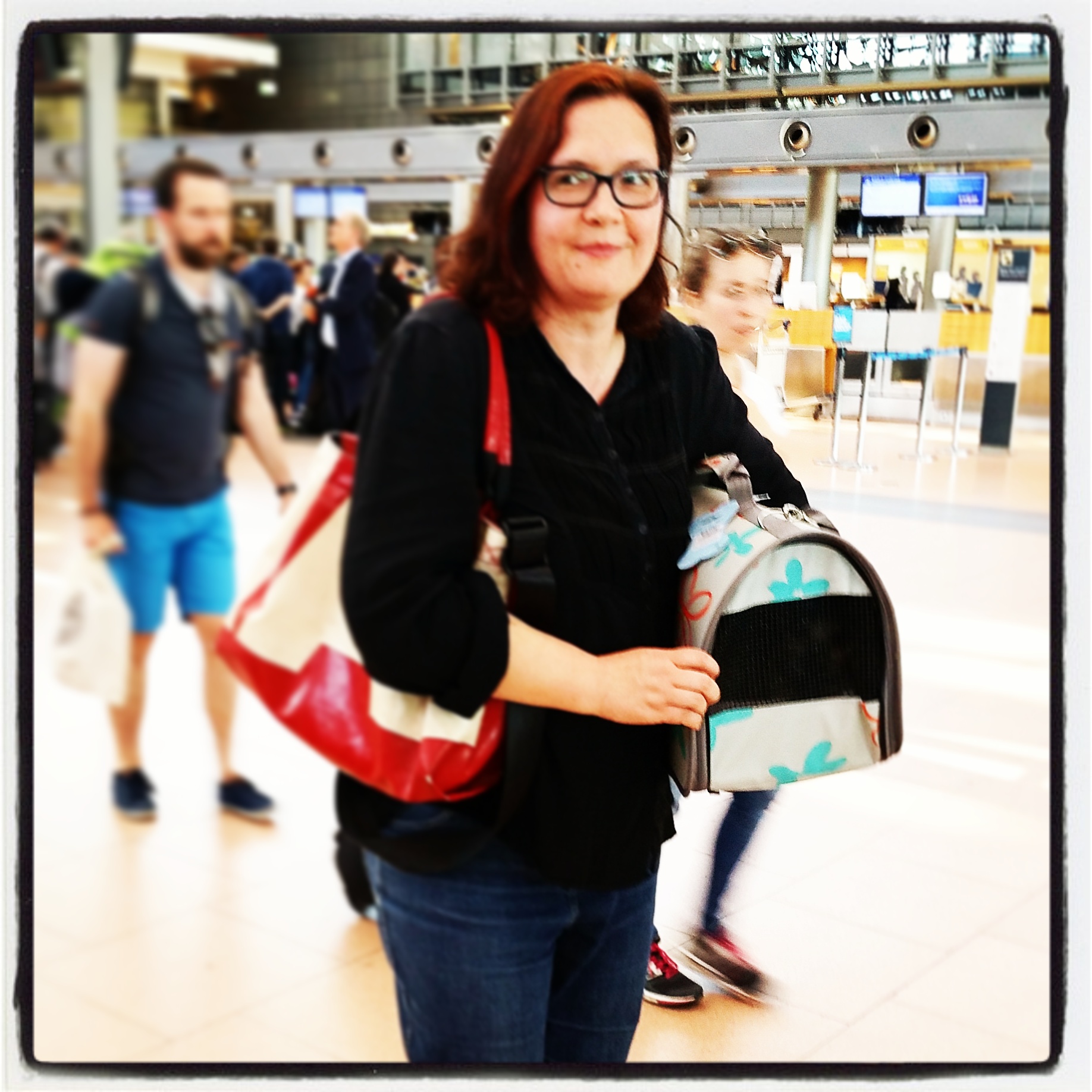 Our Jet Set Kitty: An International Pet Adoption – Holiday-Golightly