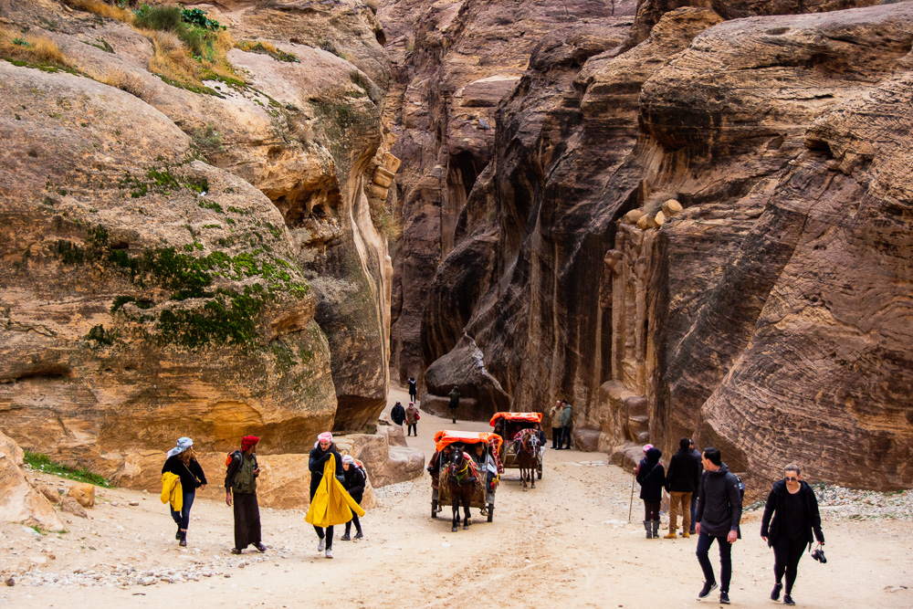 How to visit Petra with limited mobility and gently walk this ancient ...