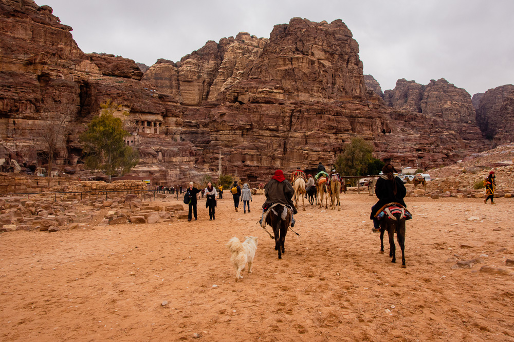 How to visit Petra with limited mobility and gently walk this ancient ...