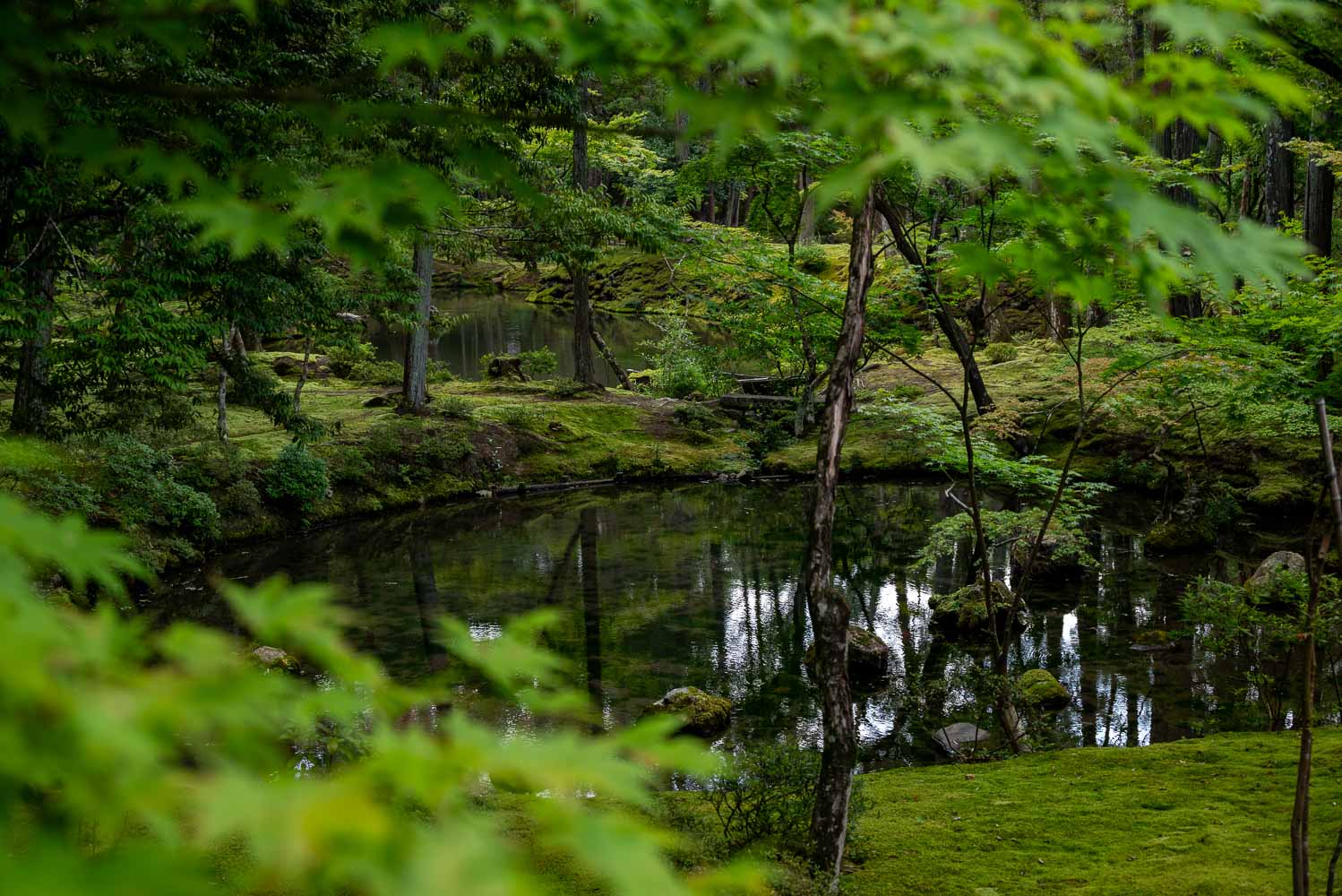 How to enjoy your trip to Japan in summer – Holiday-Golightly