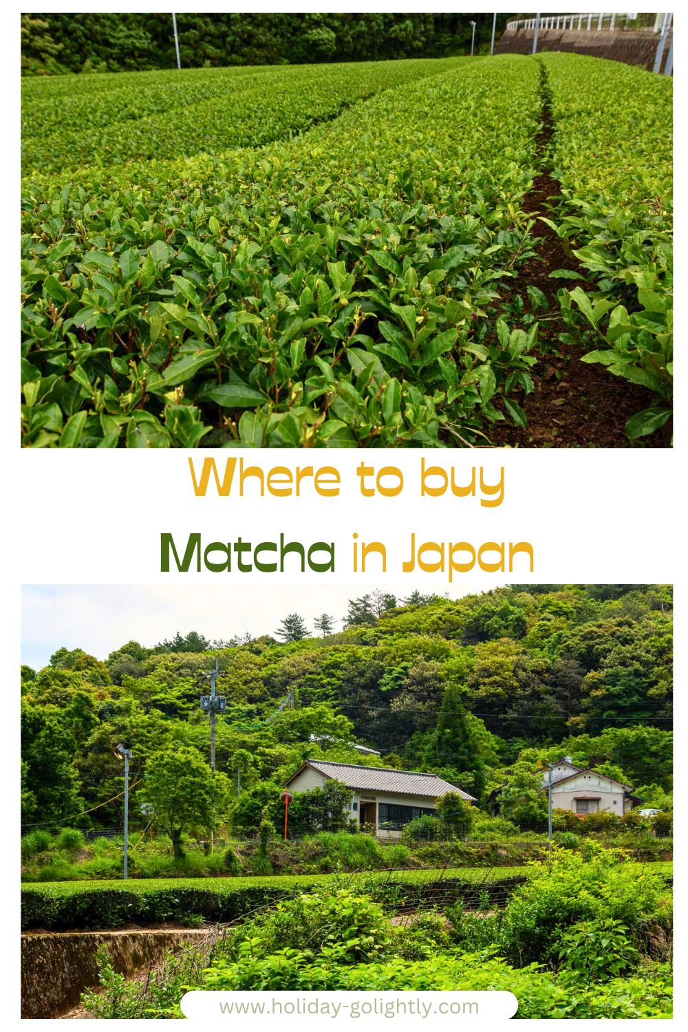 Where to buy matcha in Japan – when the media tell you there is a ...